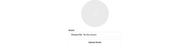 An avatar upload with image preview using shadcn/ui, nextjs server ...